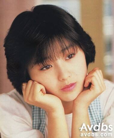 사카이 노리코 / 酒井法子 / Noriko Sakai | AVDBS